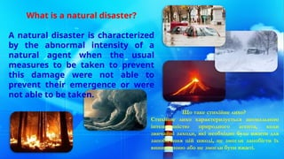 The impact of human activity on the environment.pptx