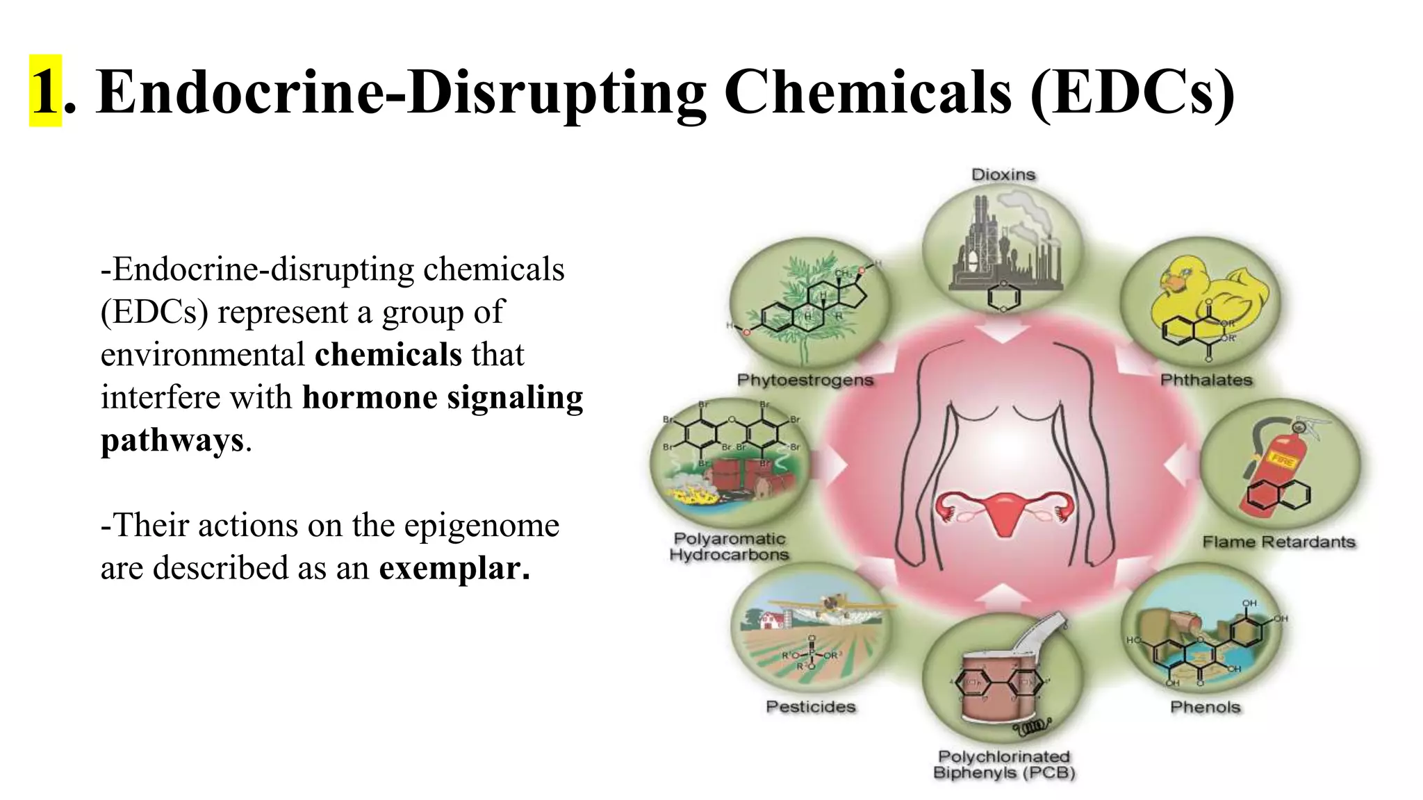 The Impact of Nutrition and Environmental Epigenetics | PPTX