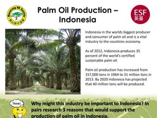 The Impacts of Palm Oil Production | PPTX