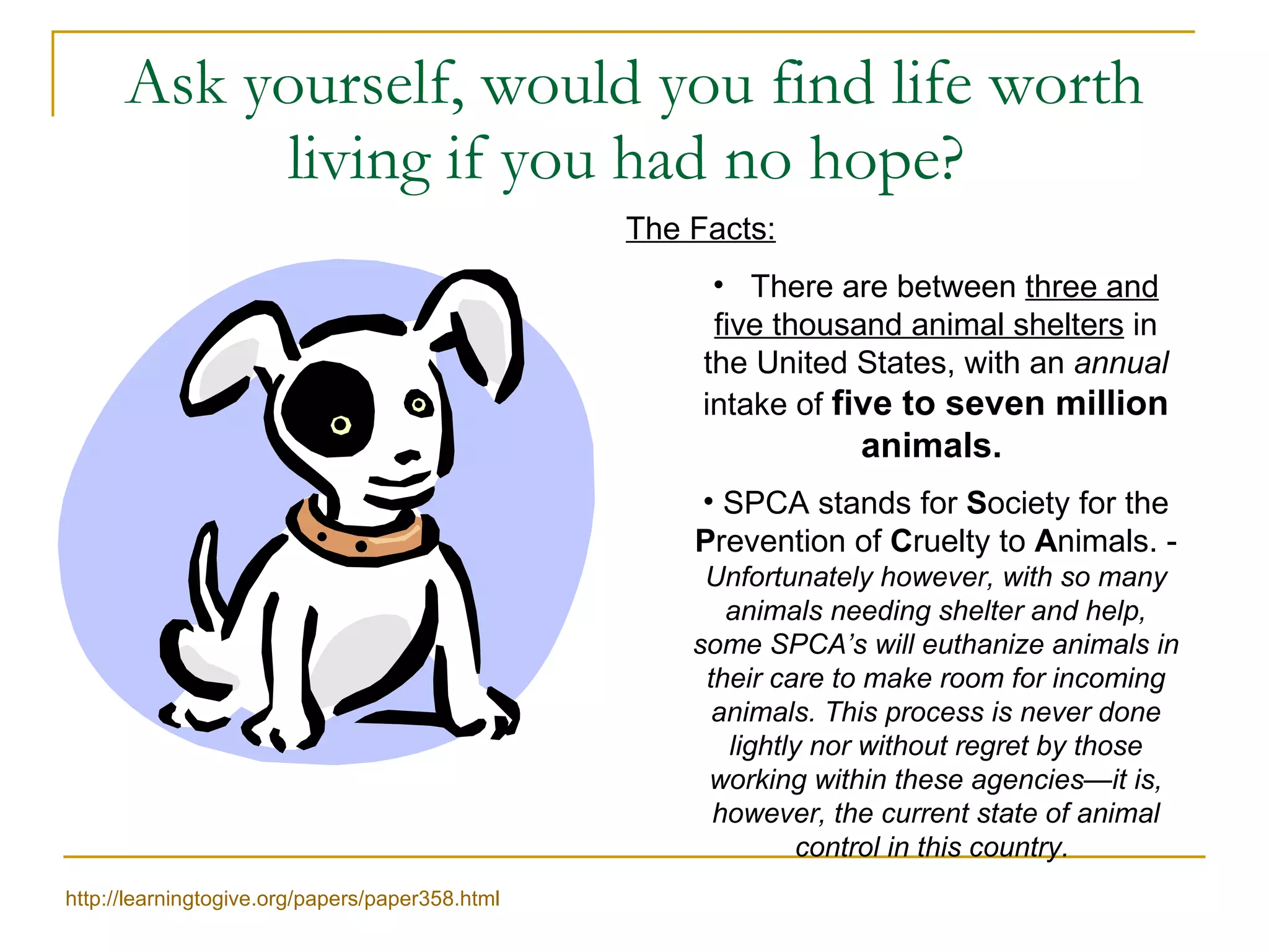 The Importance Of Adoption | PPT | Dogs | Pets