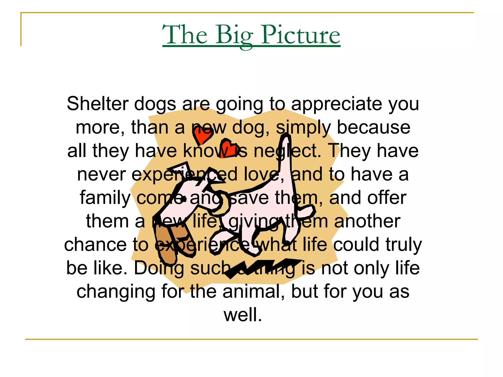The Importance Of Adoption | PPT | Dogs | Pets