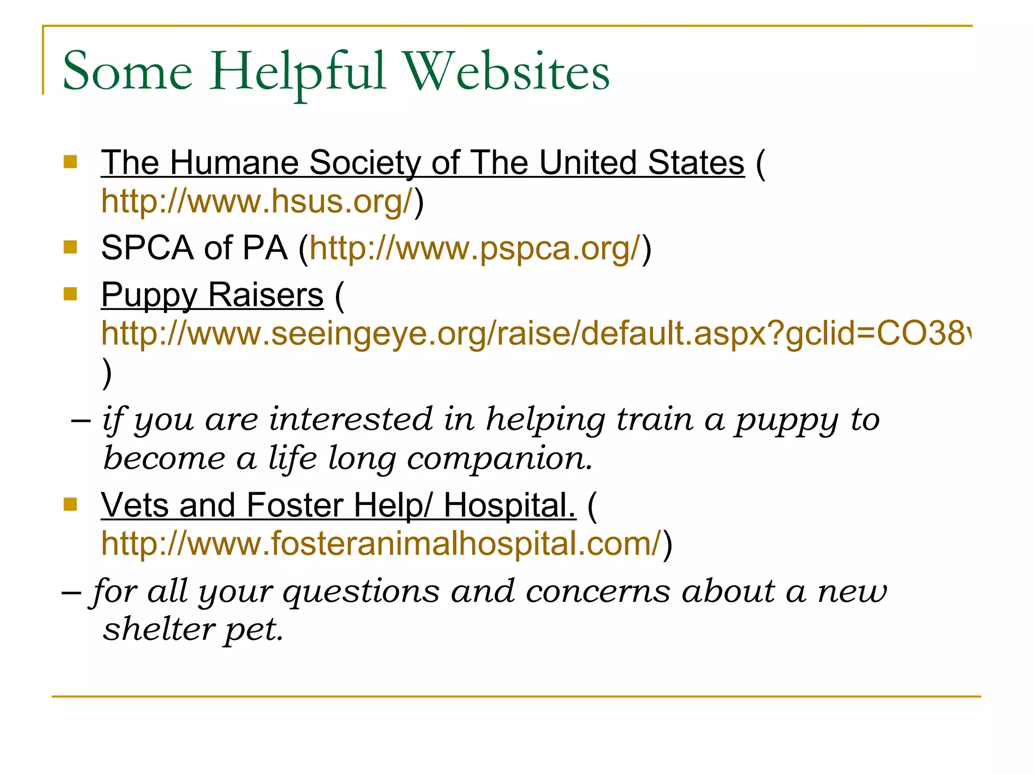 The Importance Of Adoption | PPT | Dogs | Pets