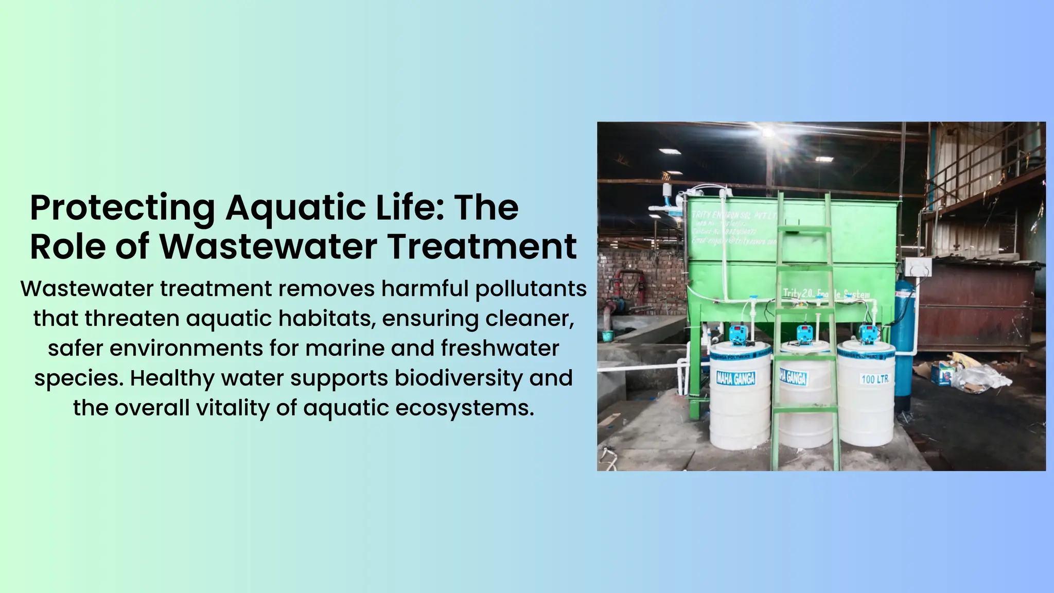 The Importance of Clean Water for Ecosystem Health.pdf