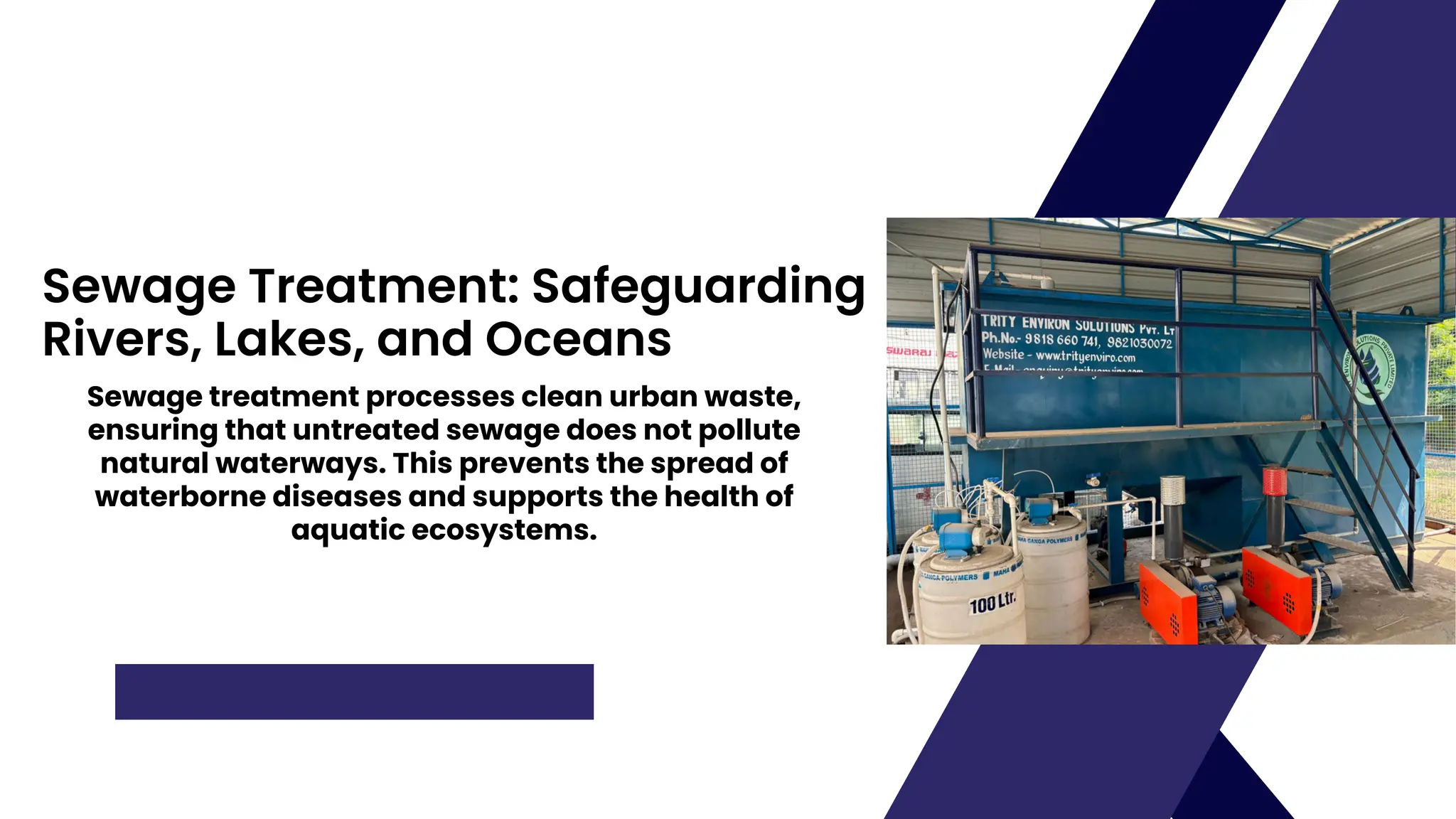 The Importance of Clean Water for Ecosystem Health.pdf