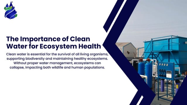 The Importance of Clean Water for Ecosystem Health.pdf