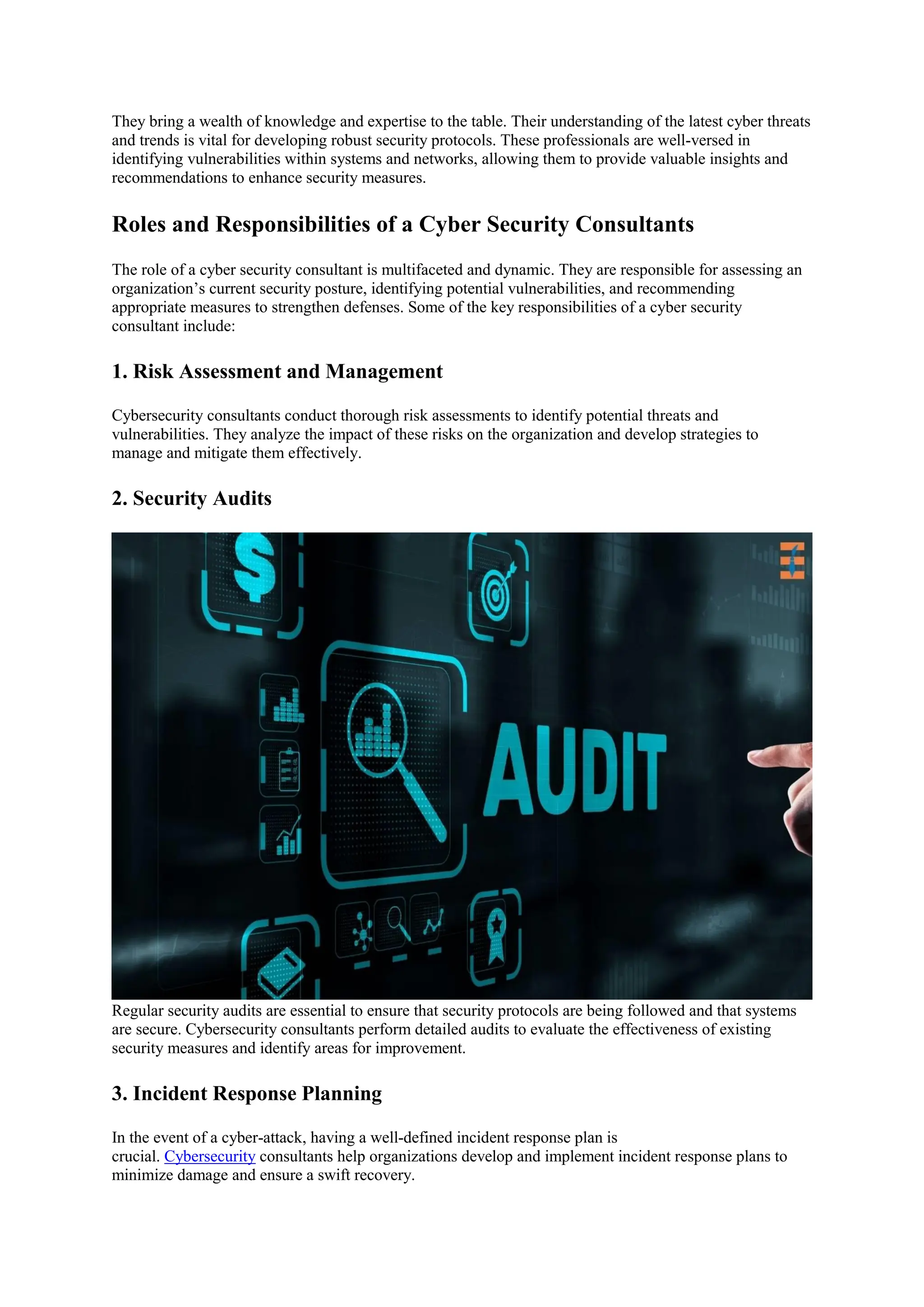 The Importance of Cyber Security Consultants in the Digital Age.pdf