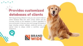 The Importance Of Dog Grooming Software On Grooming Business.pptx