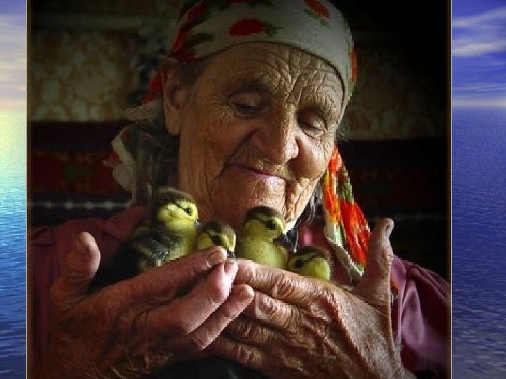 The Importance Of Family Ties the-importance-of-family-ties
