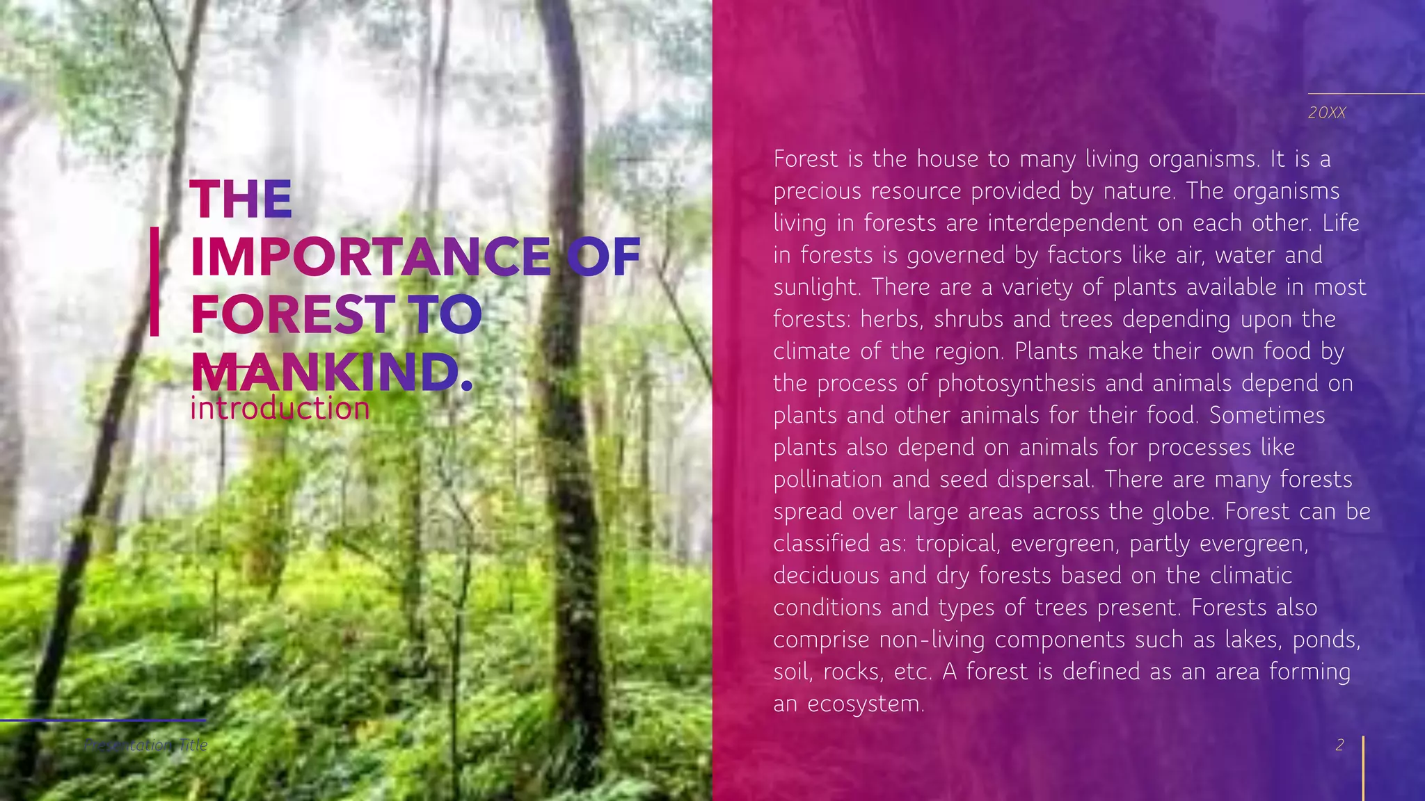 The importance of forest to mankind | PPTX