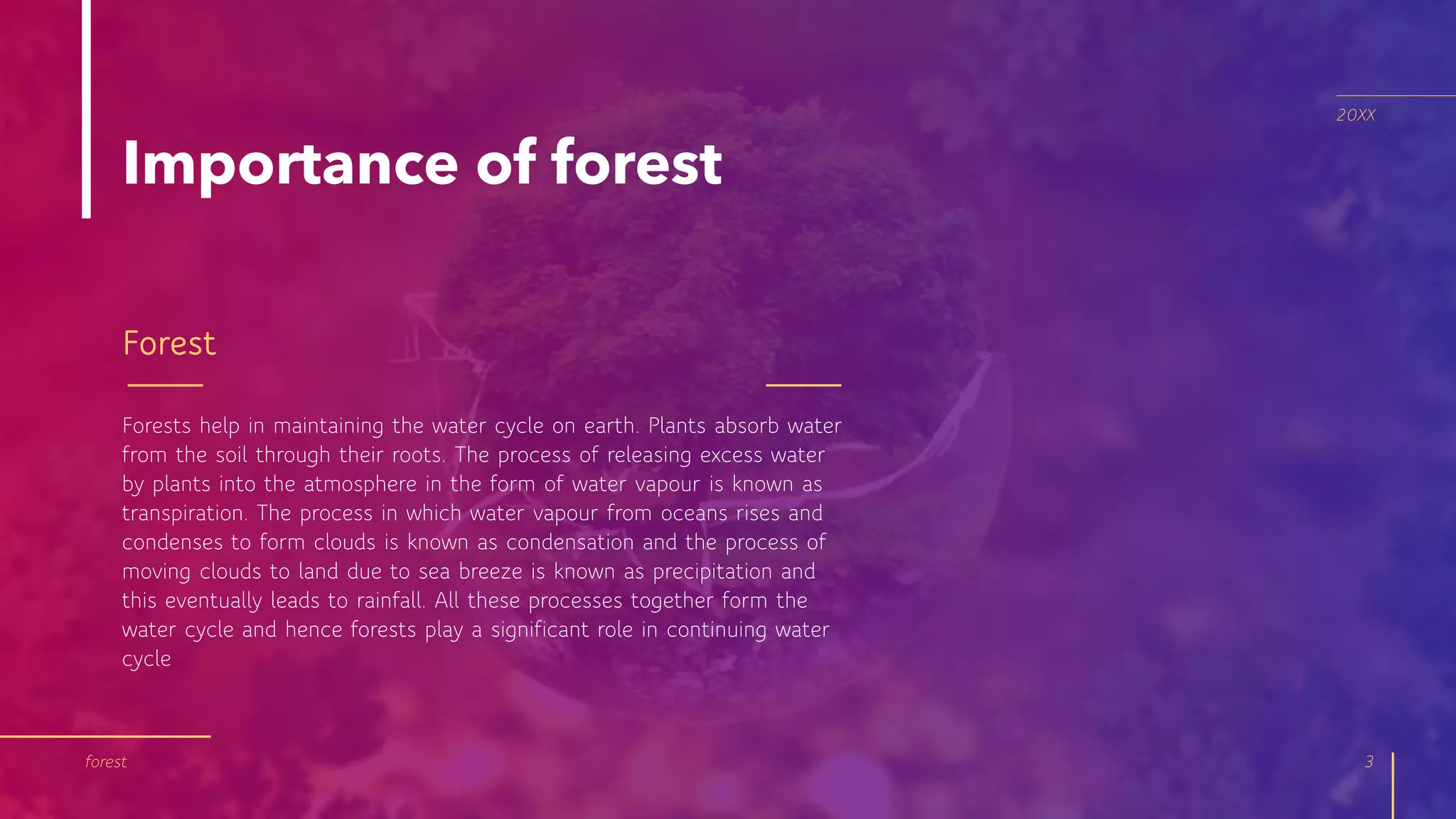 The importance of forest to mankind | PPTX