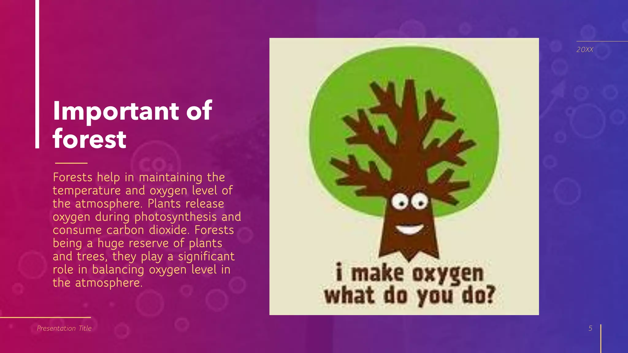 The importance of forest to mankind | PPTX