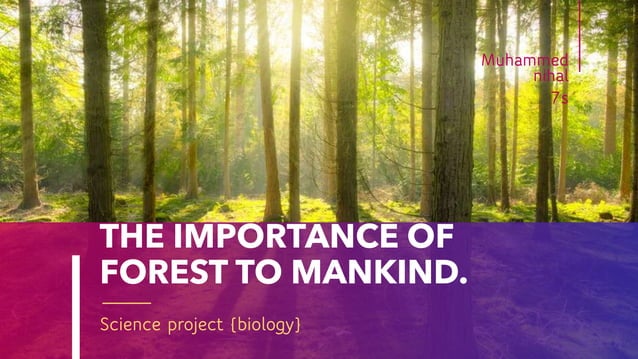 The importance of forest to mankind | PPTX | Biological Sciences | Science