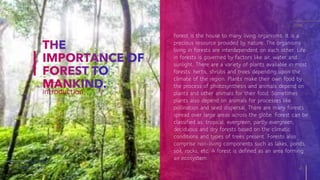 The importance of forest to mankind | PPTX