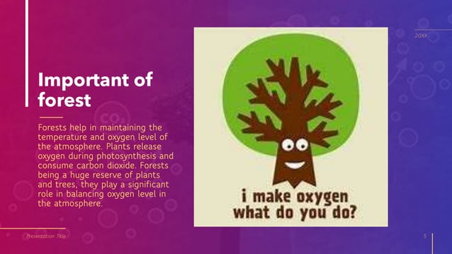 The importance of forest to mankind | PPTX | Biological Sciences | Science