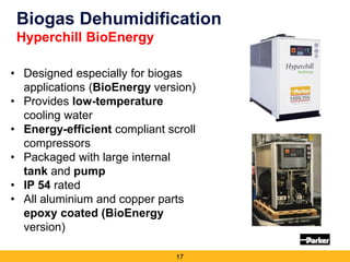The Importance of Gas Treatment in Biogas Applications | PDF