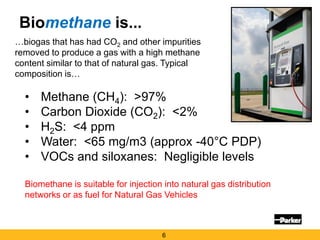 The Importance of Gas Treatment in Biogas Applications | PDF