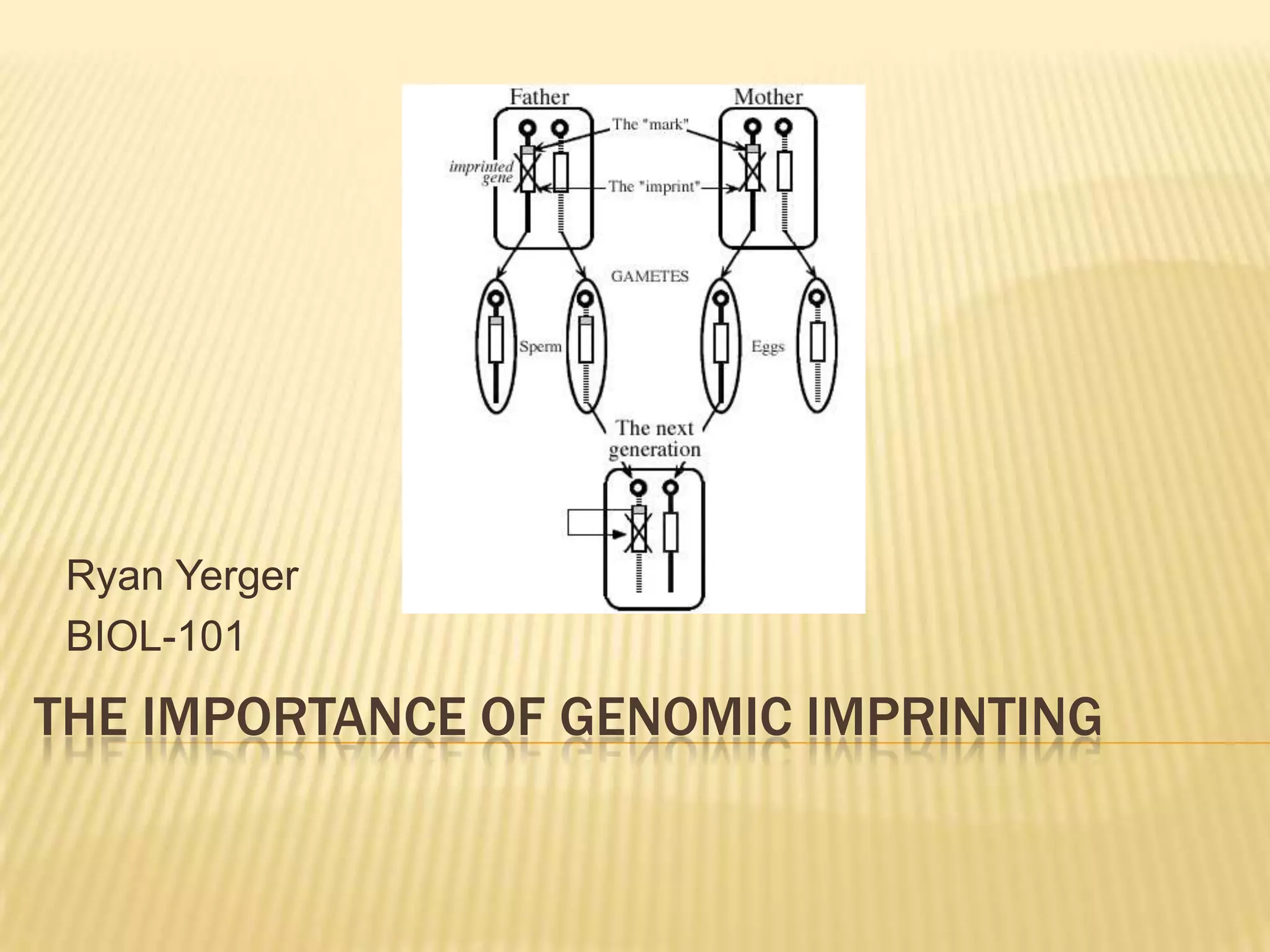 The importance of genomic imprinting | PPTX