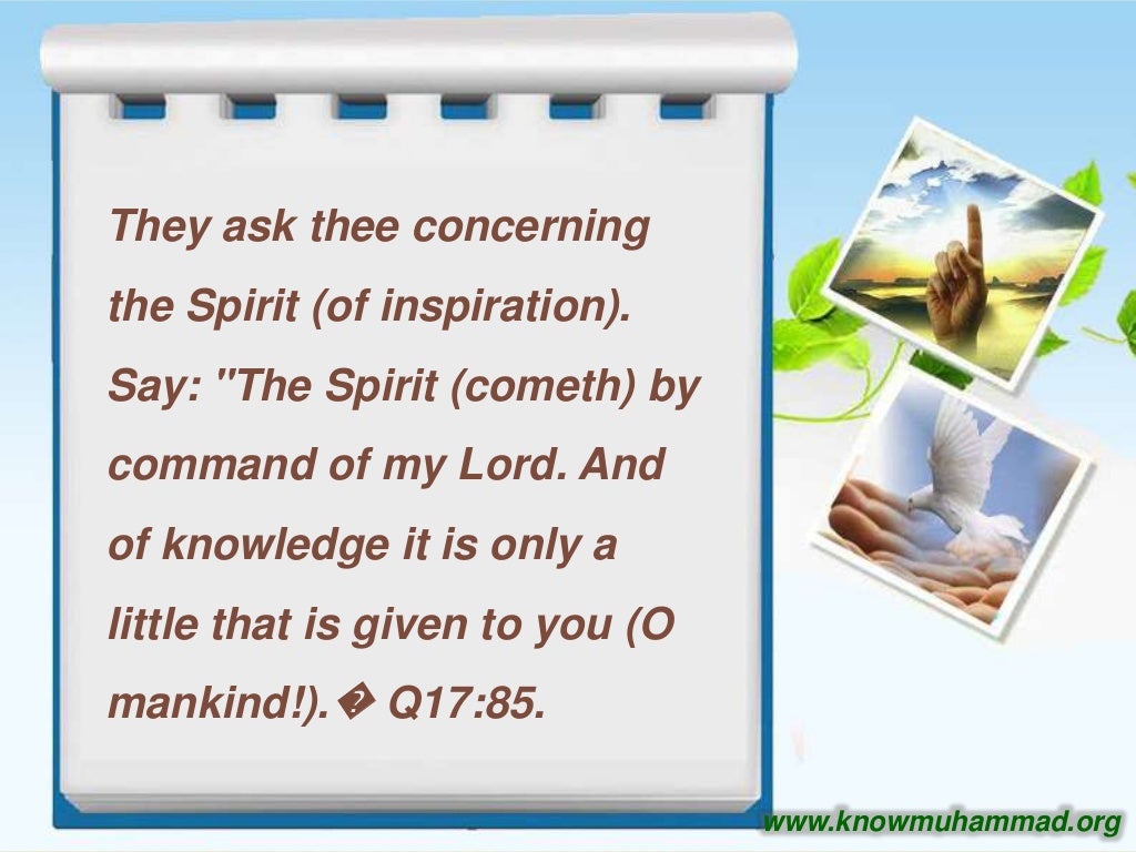 The Importance Of Knowledge In Islam the-importance-of-knowledge-in-islam