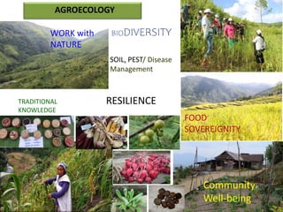 The importance of local food security | PPTX