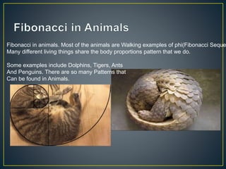 The importance of mathematics | PPTX