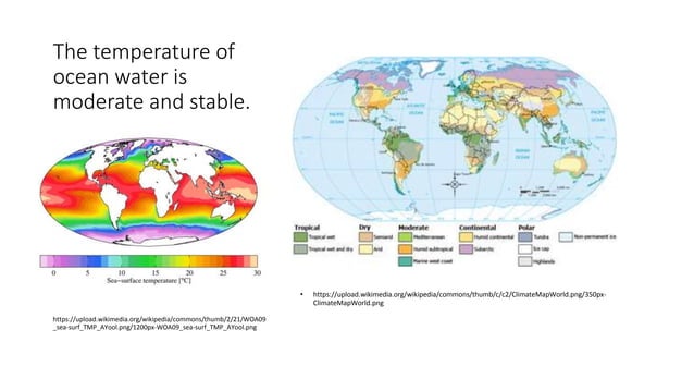 The importance of oceans | PPTX