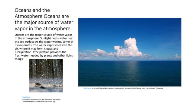 The importance of oceans | PPTX