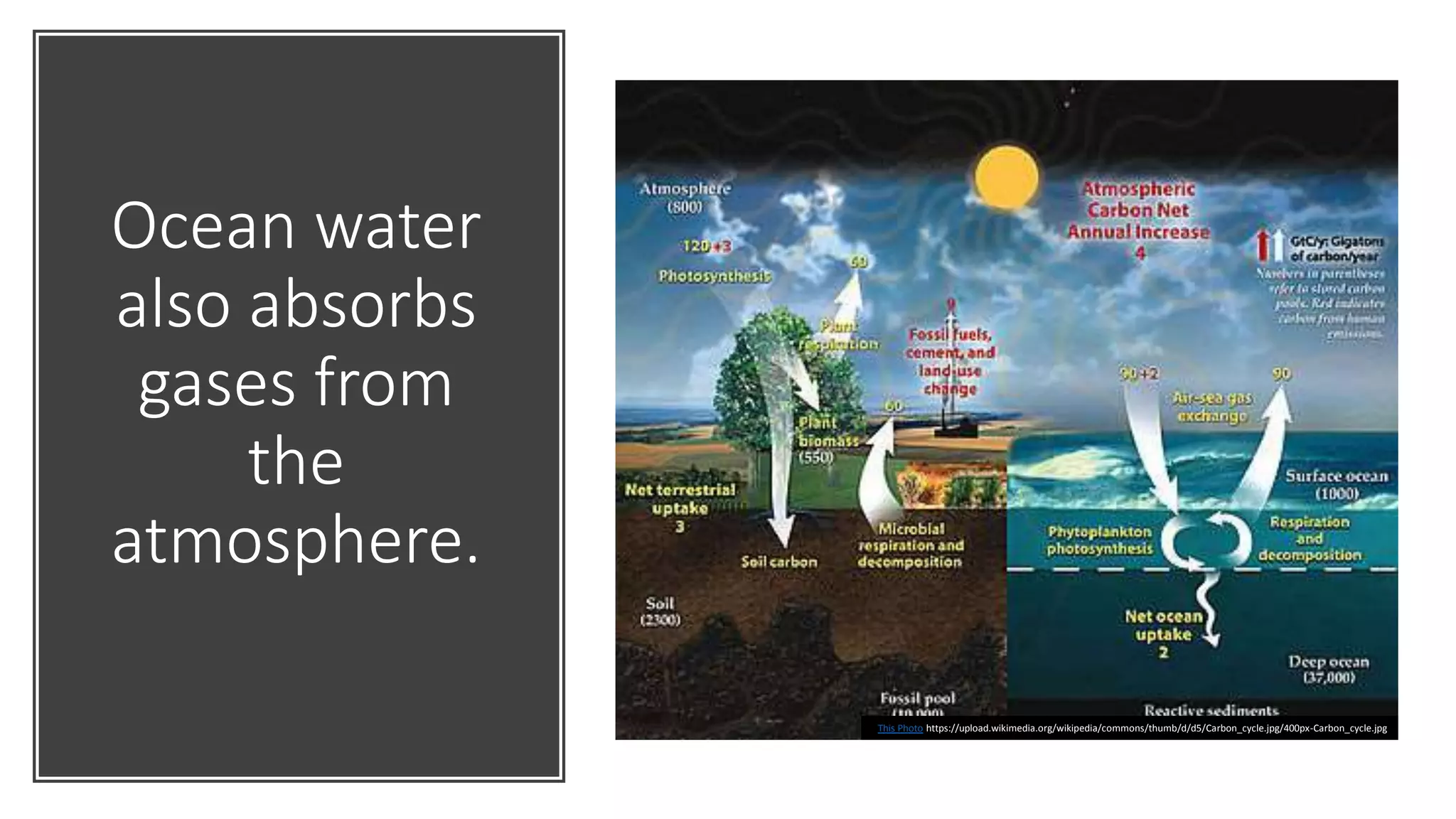 The importance of oceans | PPTX