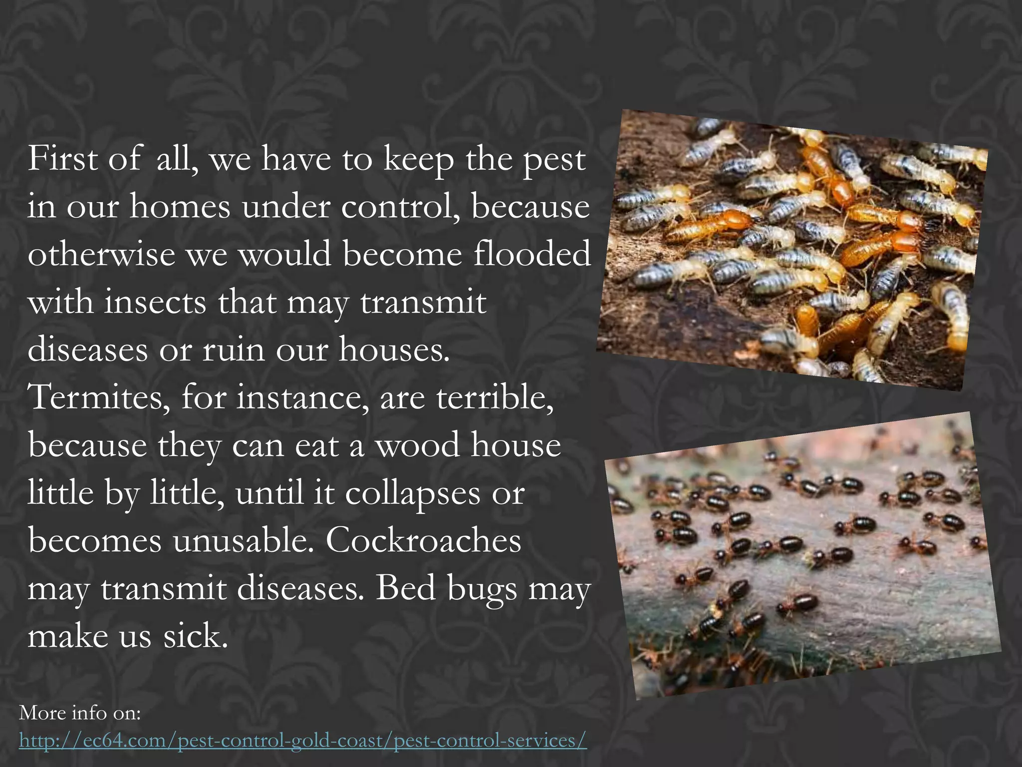The Importance of Pest Control | PPTX