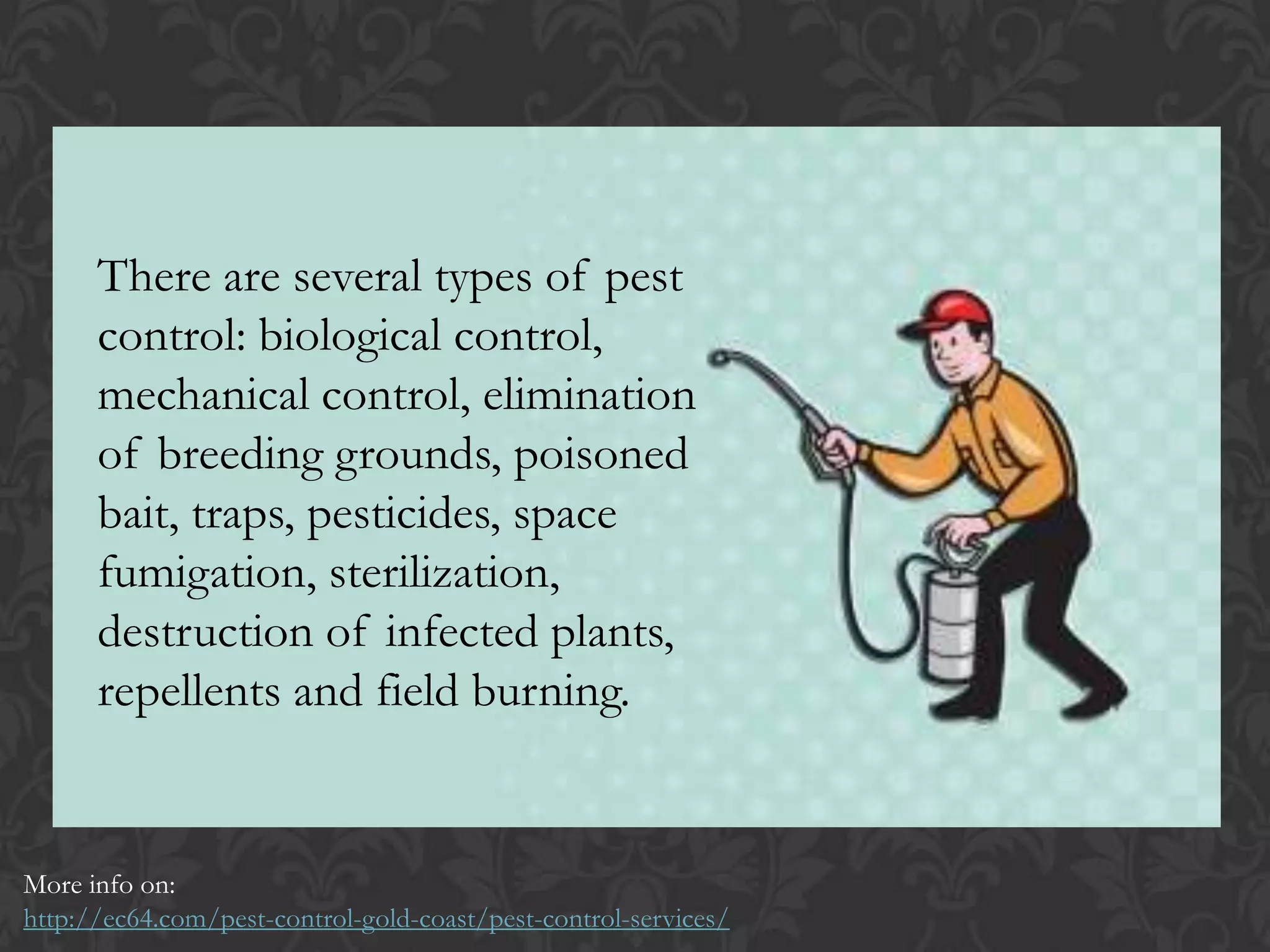 The Importance of Pest Control | PPTX