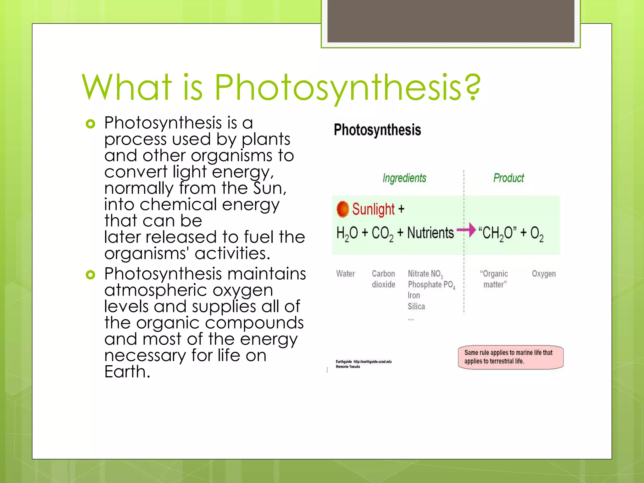 The importance of photosynthesis in the ecosystem | PPTX