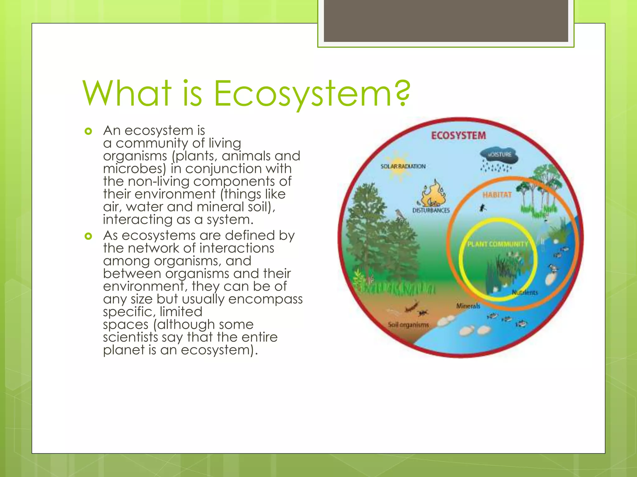 The importance of photosynthesis in the ecosystem | PPTX