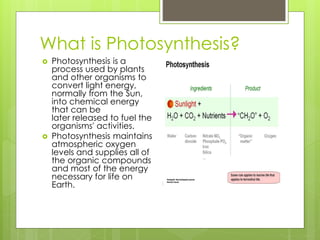 The importance of photosynthesis in the ecosystem | PPTX