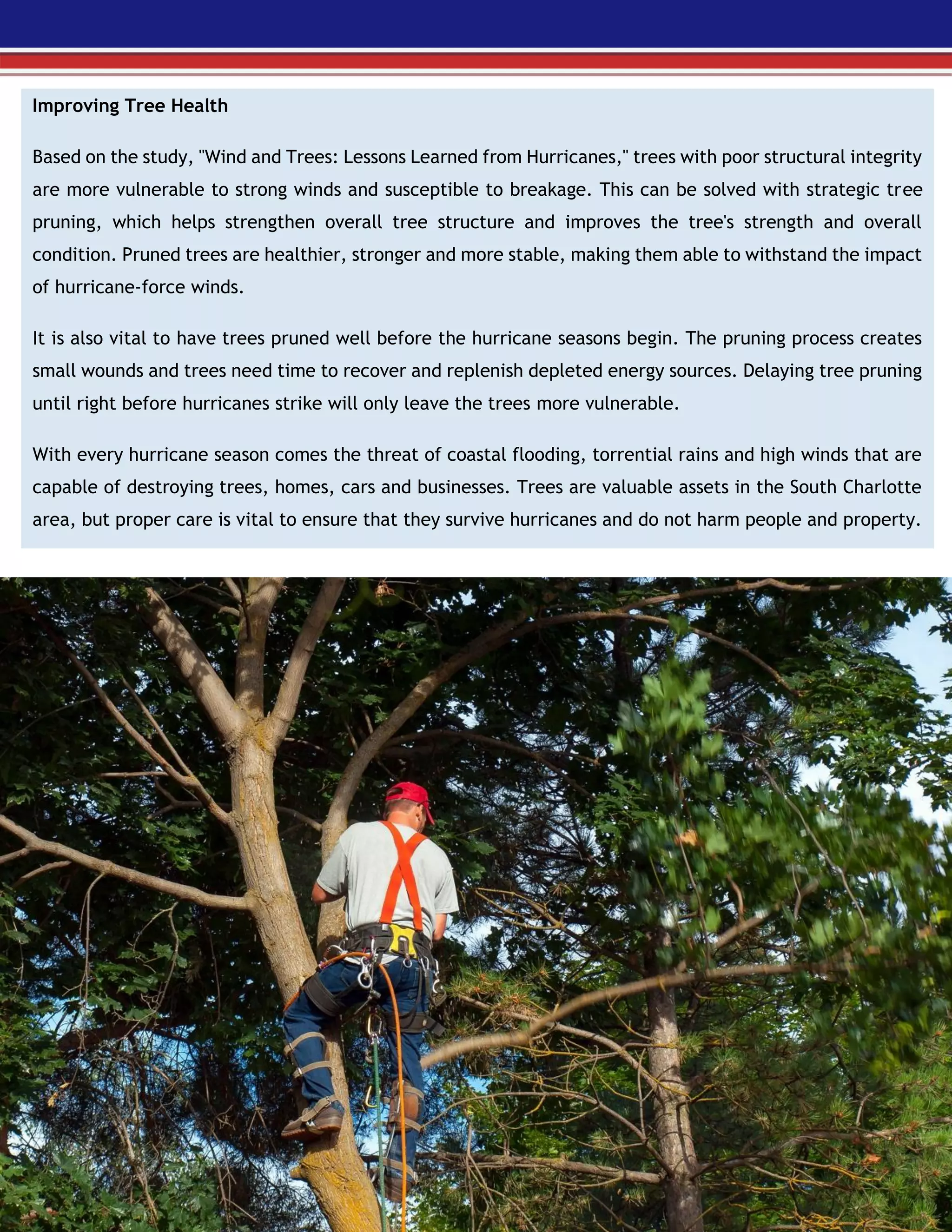 The Importance of Pruning Trees for Hurricane Resistance | PDF | Free ...