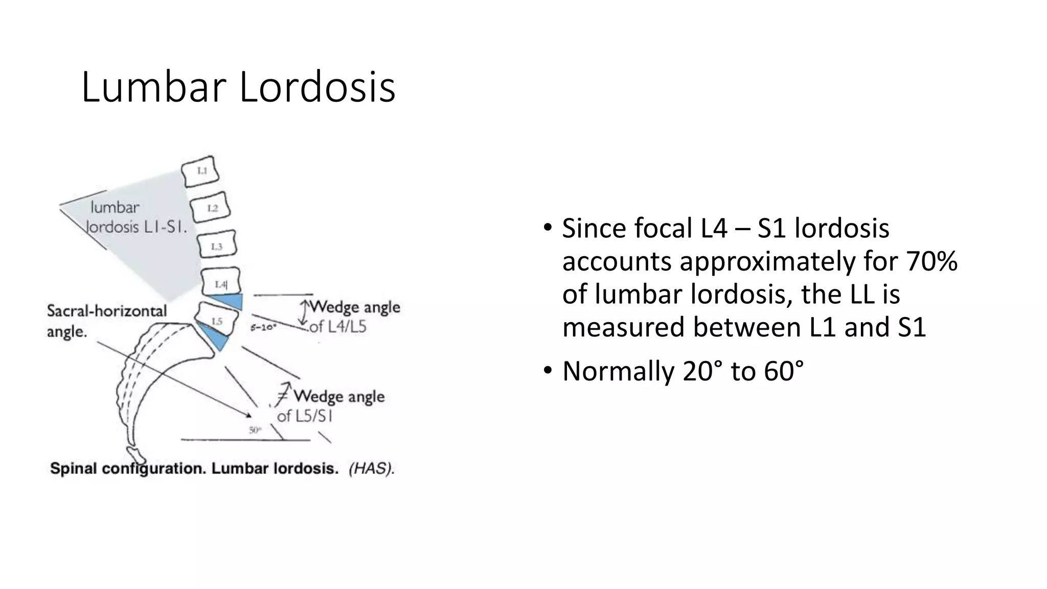 The Importance of Sagittal Balance in Adult Spinal.pptx
