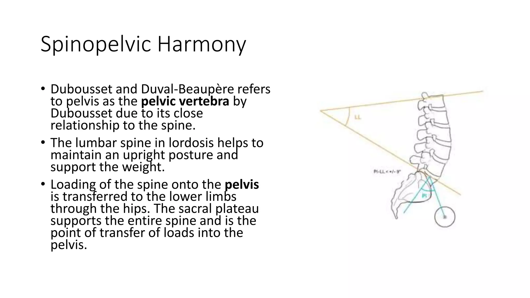 The Importance of Sagittal Balance in Adult Spinal.pptx