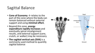 The Importance of Sagittal Balance in Adult Spinal.pptx