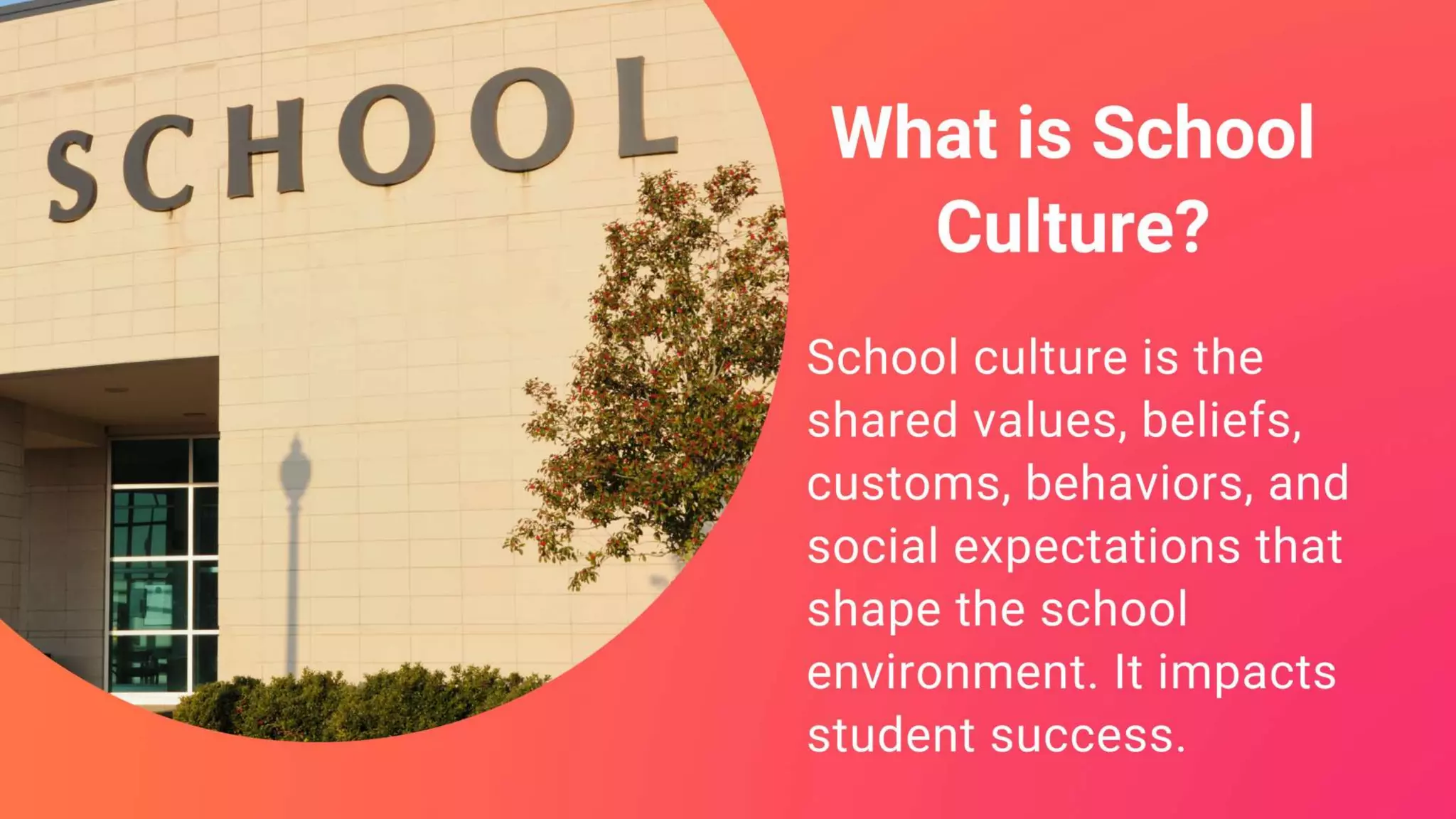 The Importance of School Culture in Choosing the Best School for Your ...