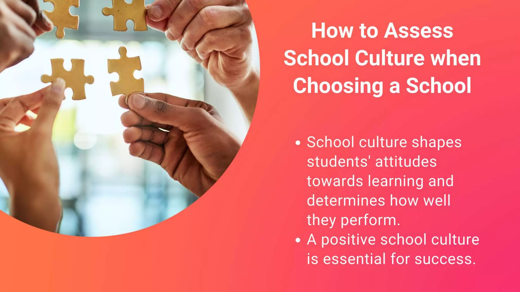 The Importance of School Culture in Choosing the Best School for Your ...