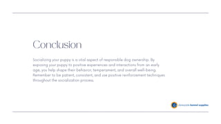 The Importance of Socializing Your Puppy A Guide for Dog Owners ...