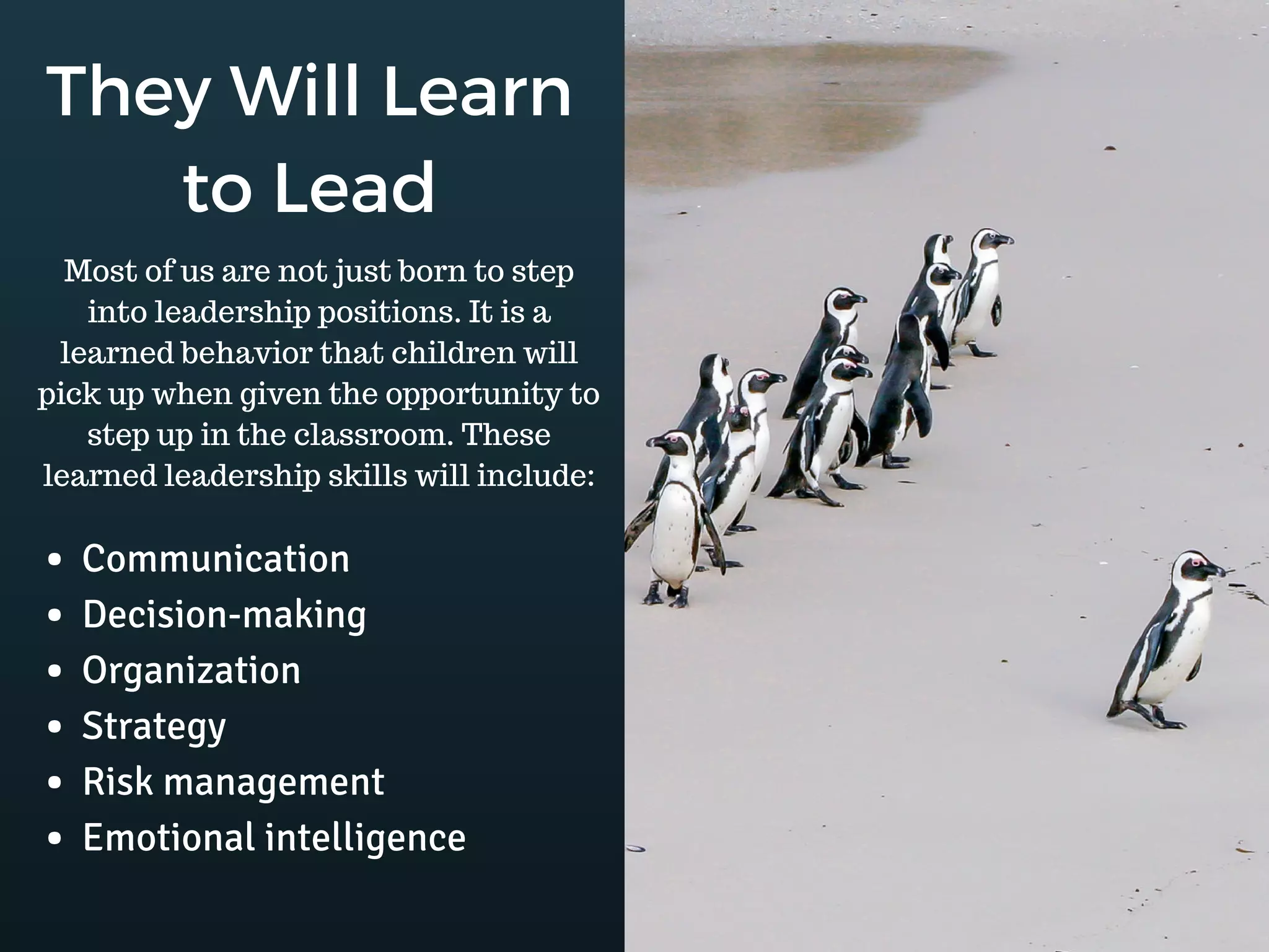 The Importance of Student Leadership in the Classroom | PDF