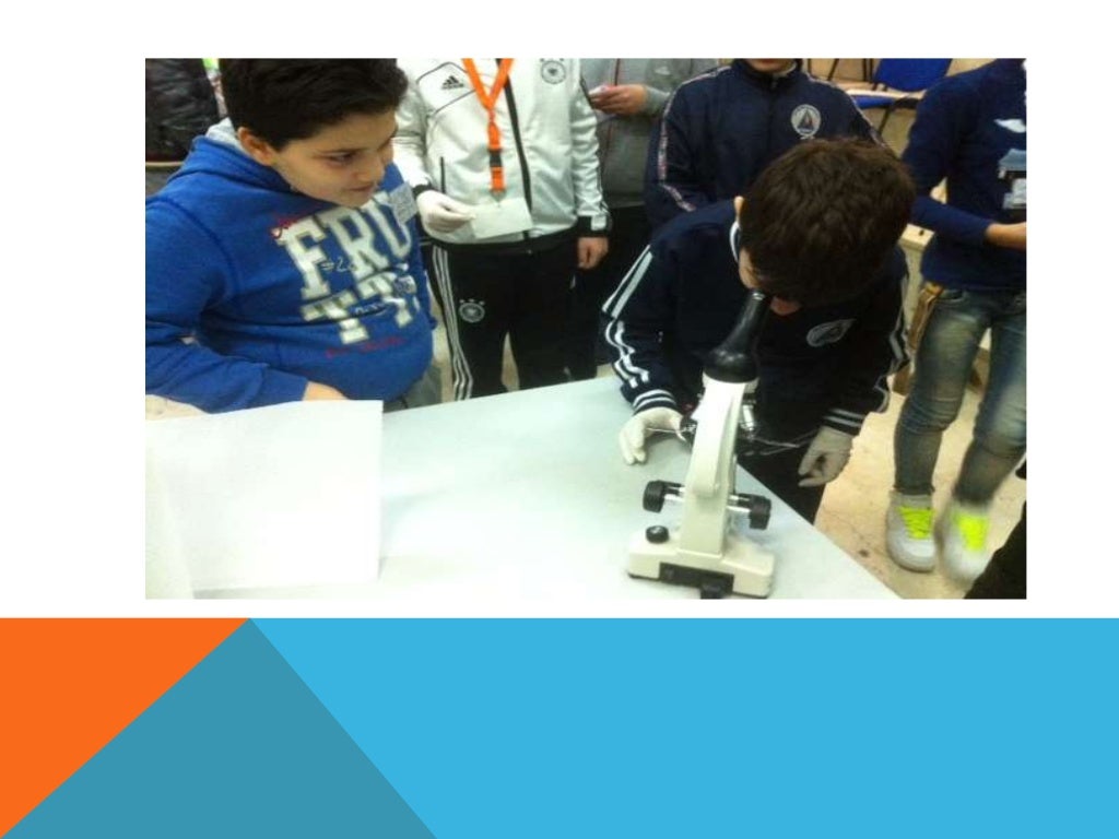 The Importance Of Studying Science the-importance-of-studying-science