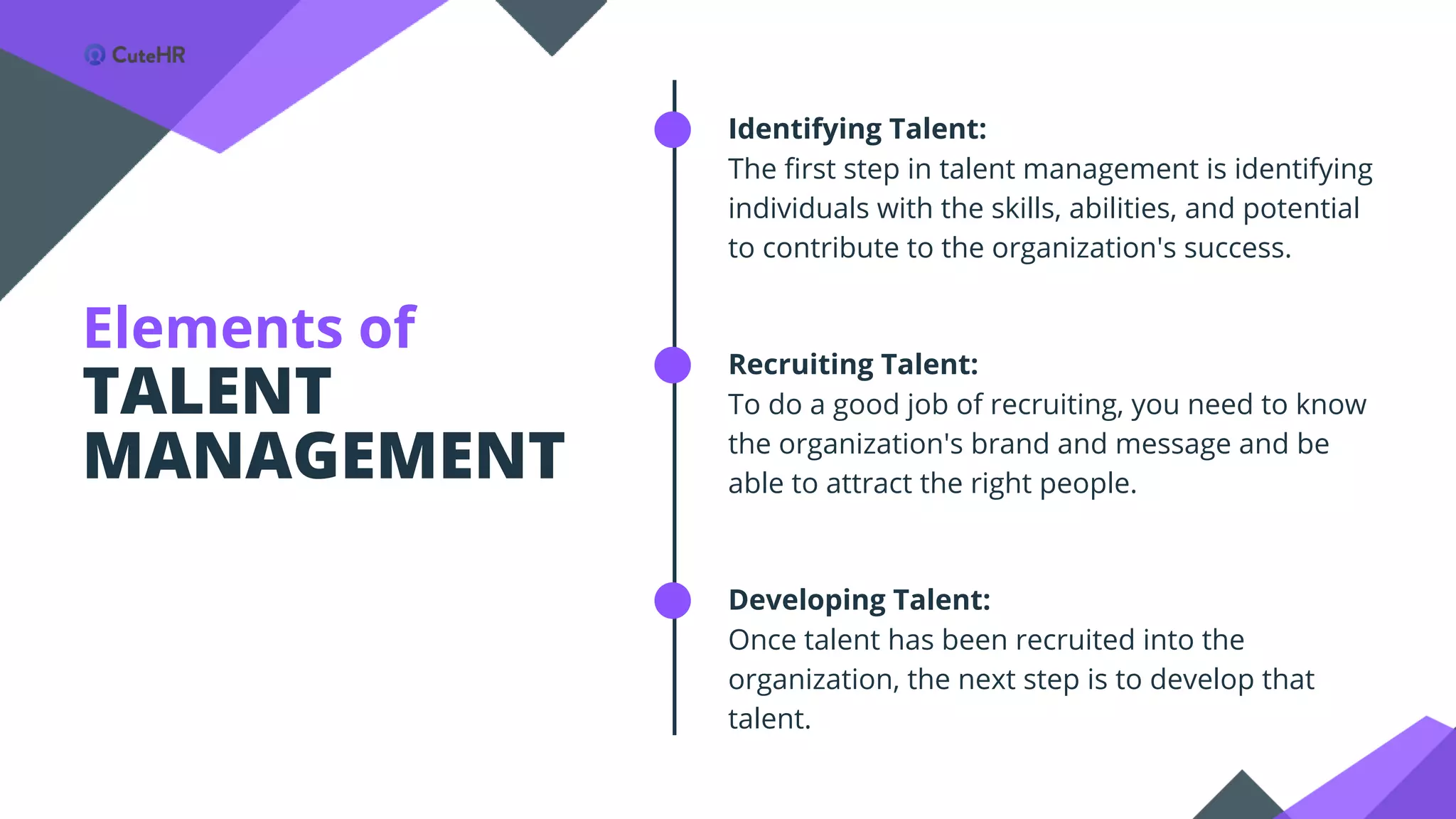 The Importance of Talent Management.pptx