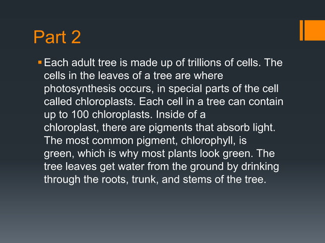 The importance of tee's and plants | PPTX