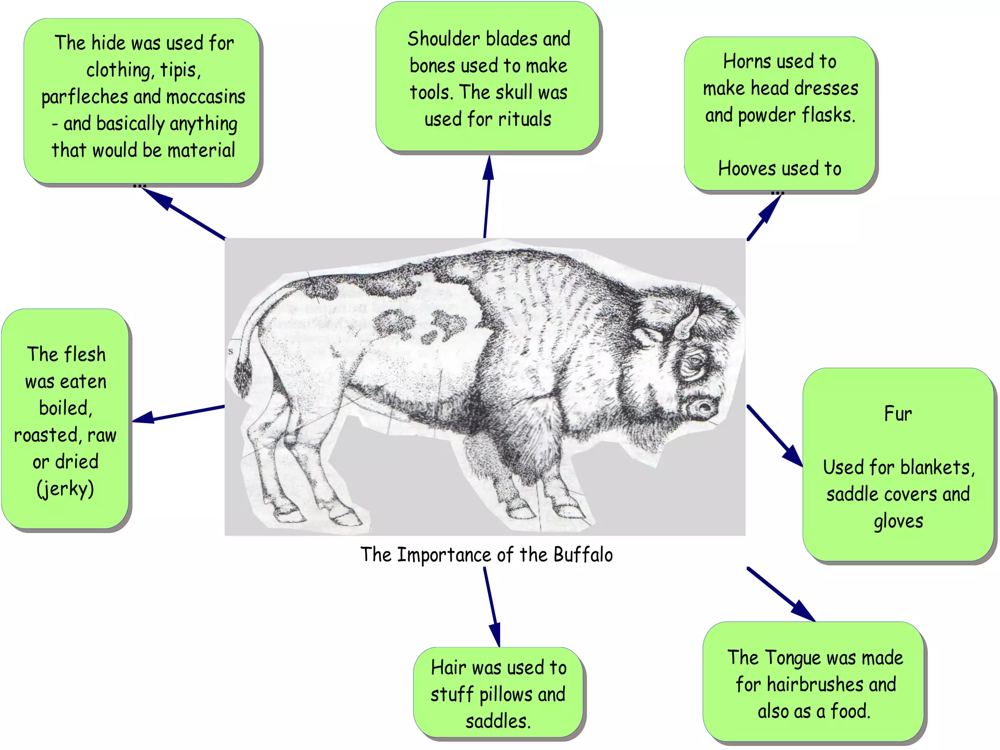 The Importance Of The Buffalo | PPT