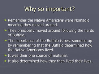 The Importance Of The Buffalo | PPT