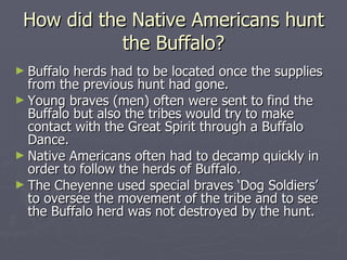 The Importance Of The Buffalo | PPT