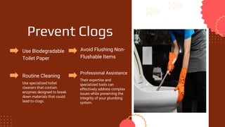 The Importance of Toilet Maintenance.pdf