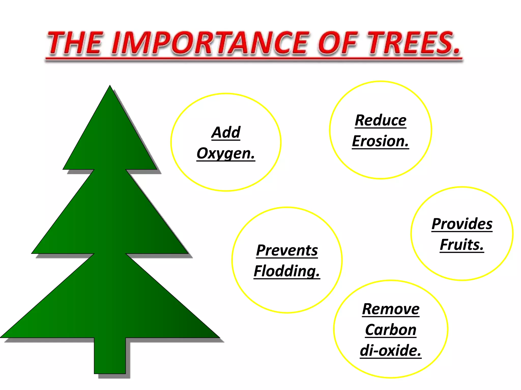 The importance of trees | PPT