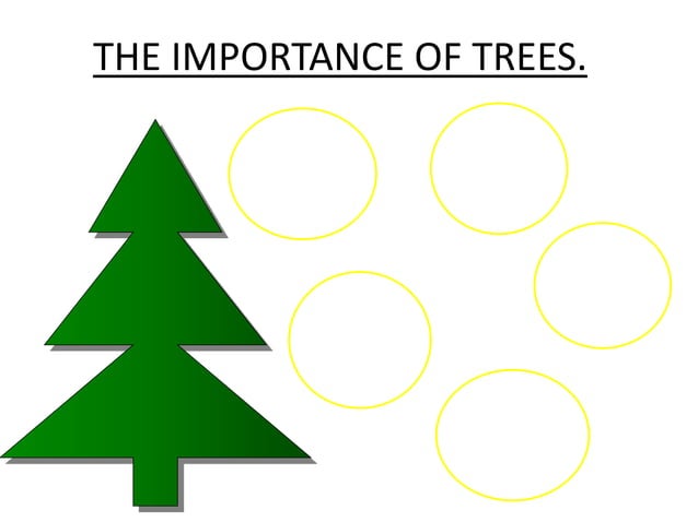 The importance of trees | PPTX