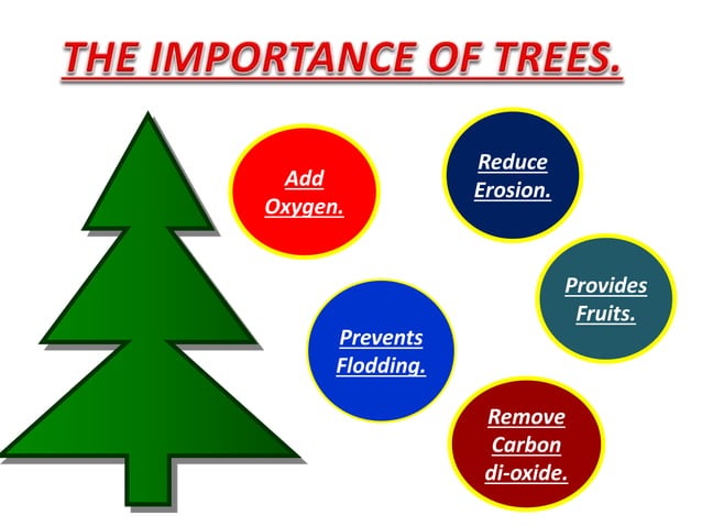 The importance of trees | PPT